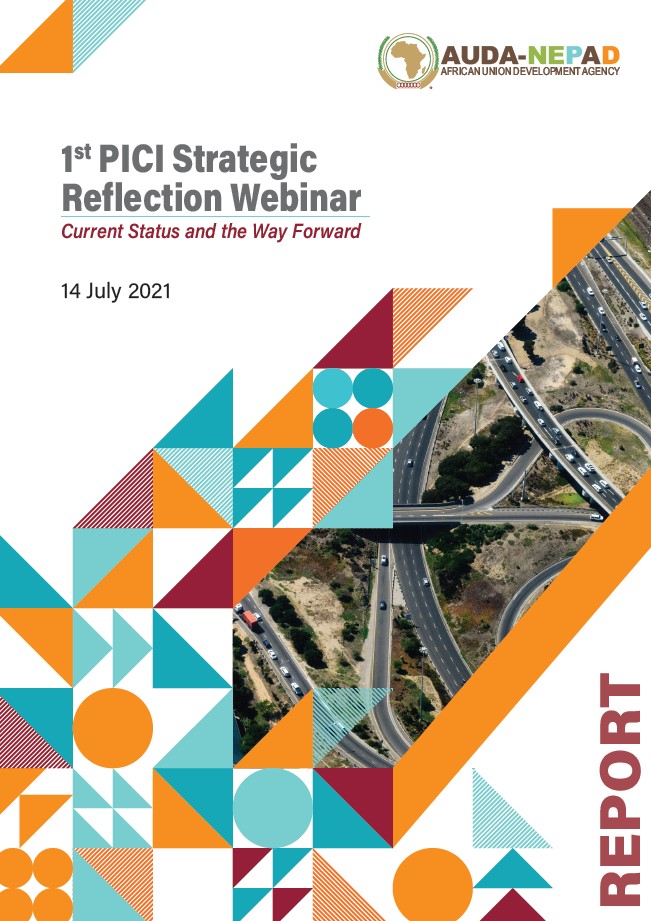 1st PICI Strategic Reflection Webinar:Current Status and the Way Forward